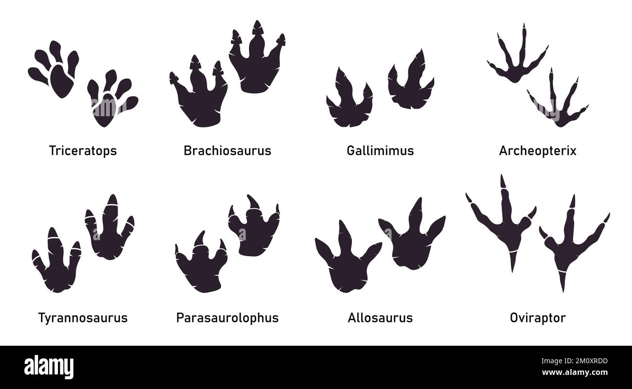 Silhoutte dinosaur footprint vector set. Paleontology, history vintage ...