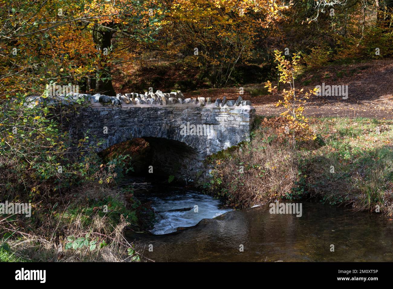 The Weir Water river flowing under Robbers Bridge in Exmoor National ...
