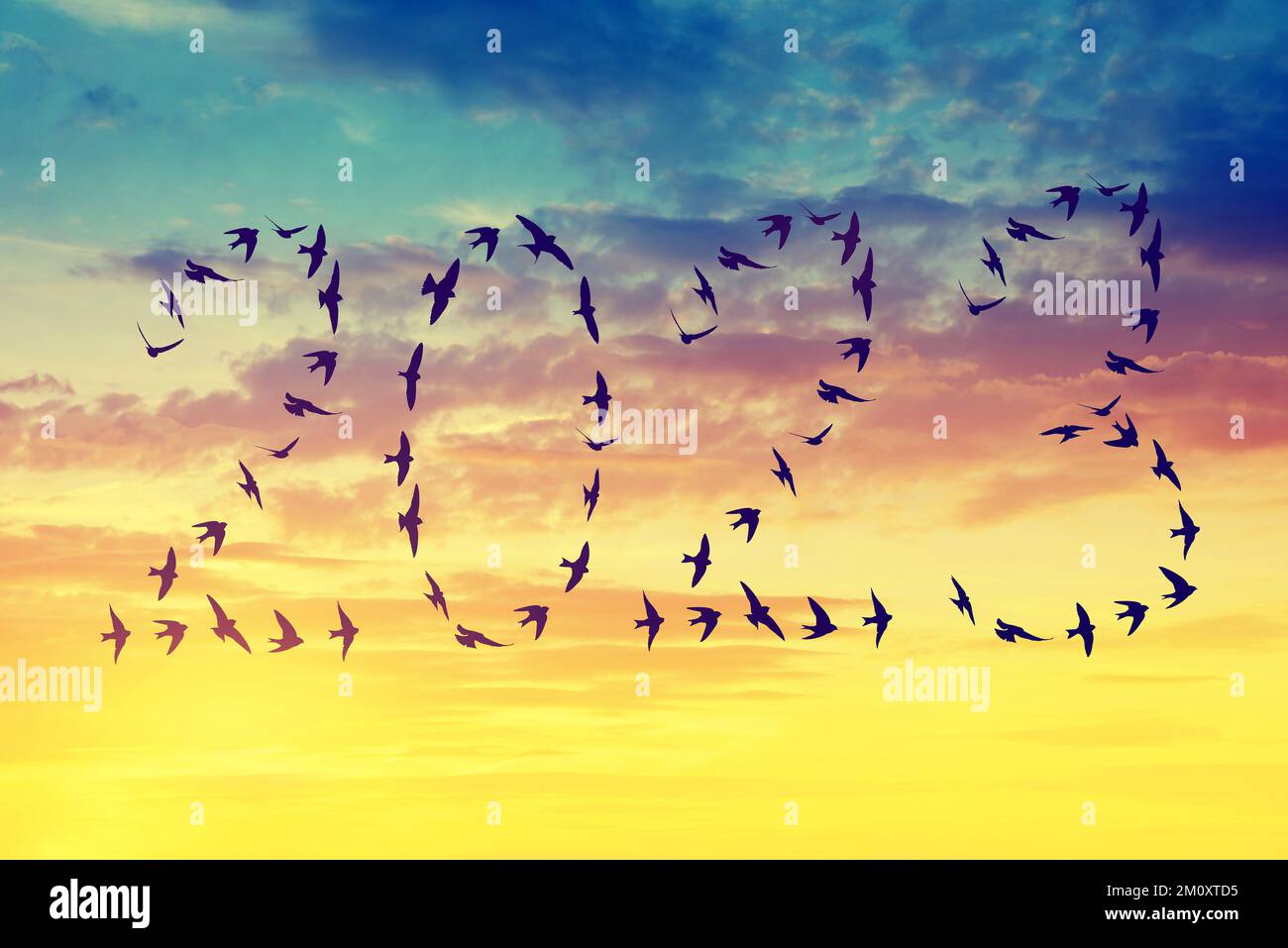 Silhouette of flock birds flying in 2023 formation into the New Year at ...