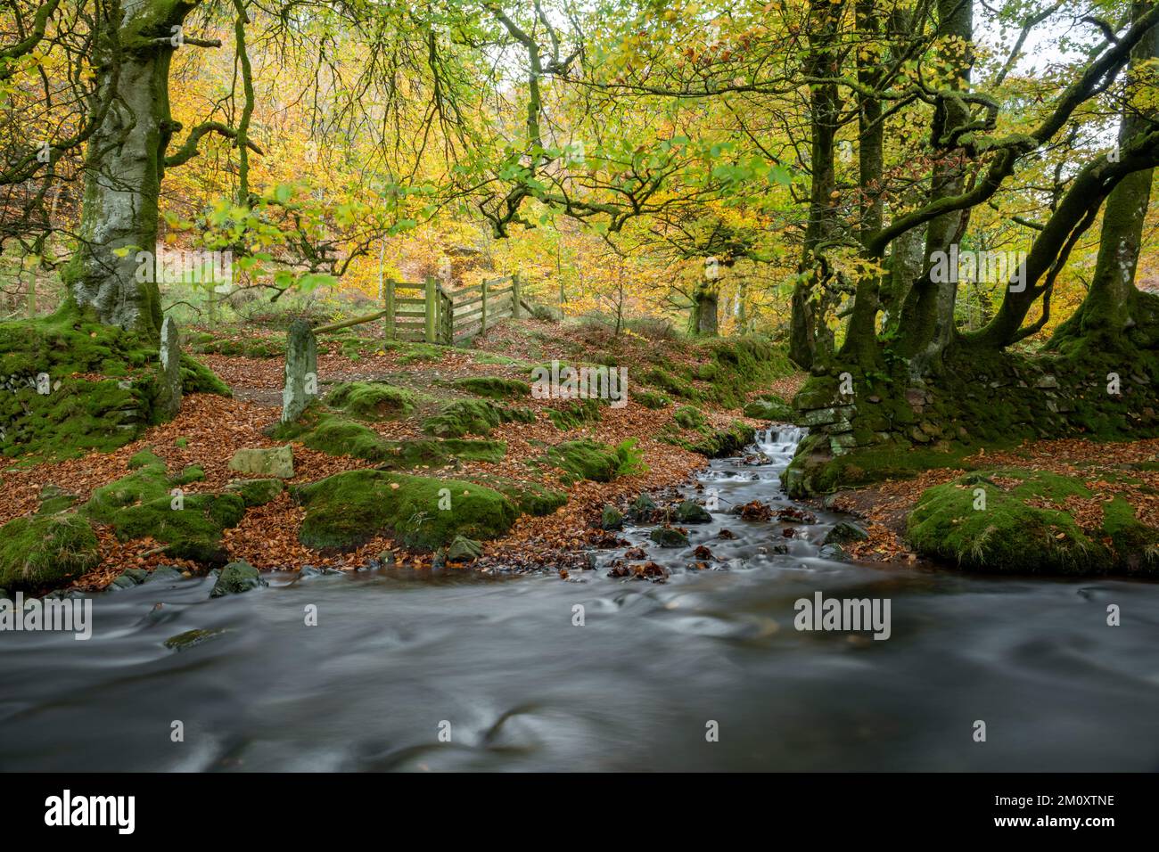 Long exposure of the Weir Water river flowing downstream of Robbers ...
