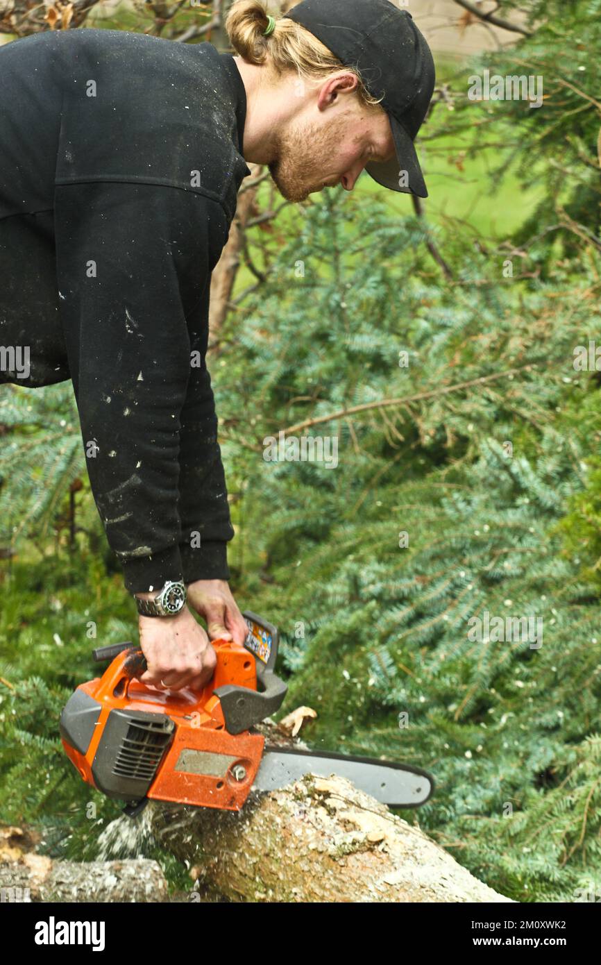 Woodcutter in action in denmark Stock Photo - Alamy