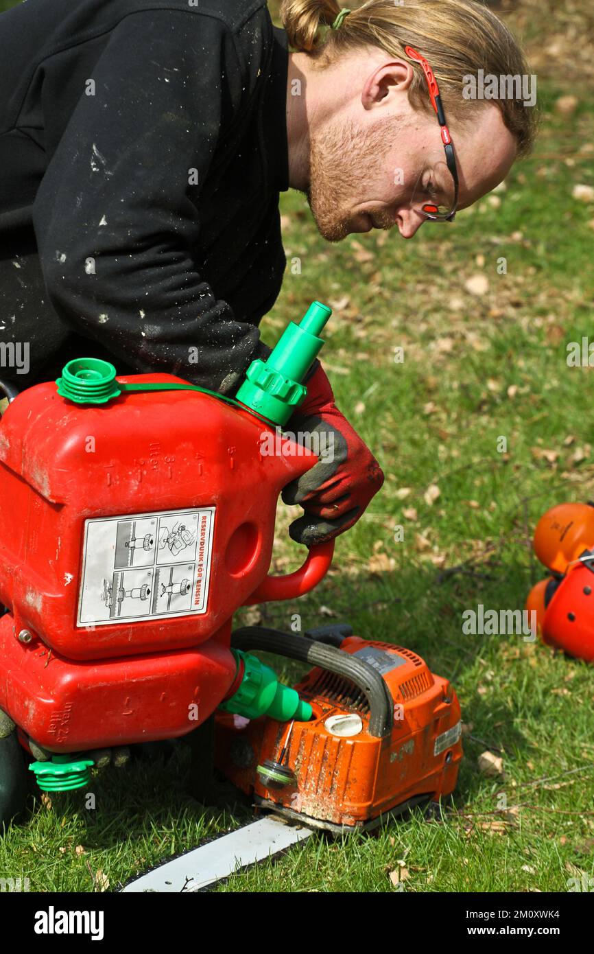 Woodcutter in action in denmark Stock Photo - Alamy