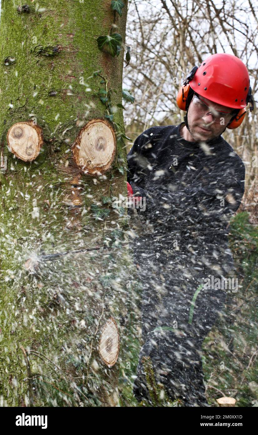 Working woodcutter hi-res stock photography and images - Alamy