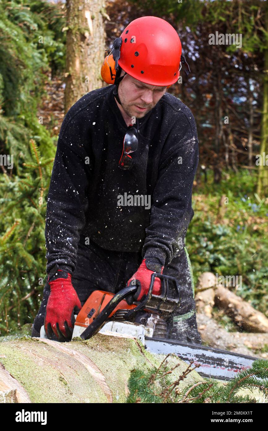 Working woodcutter hi-res stock photography and images - Alamy