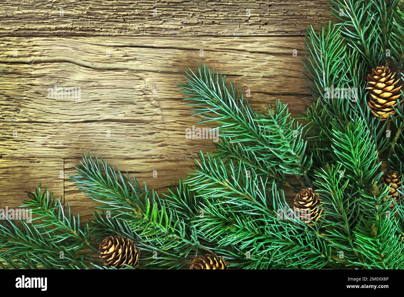 Pine tree branch on a rustic wooden background Stock Photo - Alamy