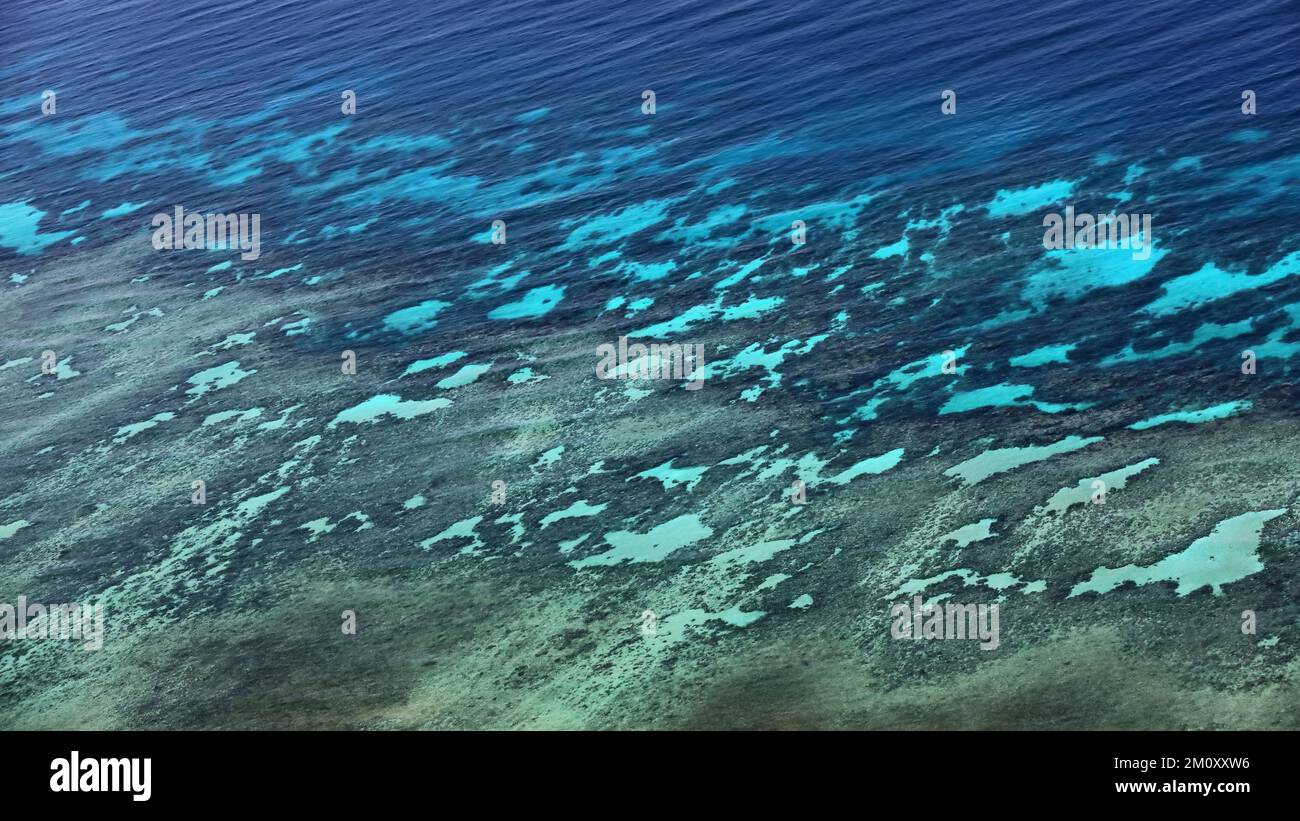 319 Aerial view of the shallow water-covered Michaelmas Reef on the ...