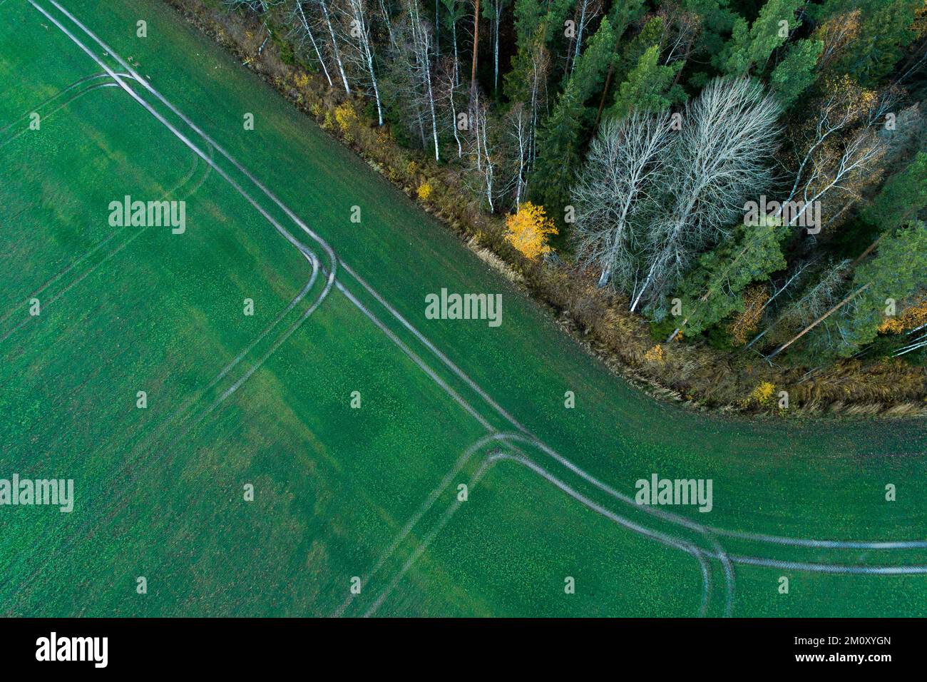 An aerial of autumnal agricultural field next to a boreal forest in ...