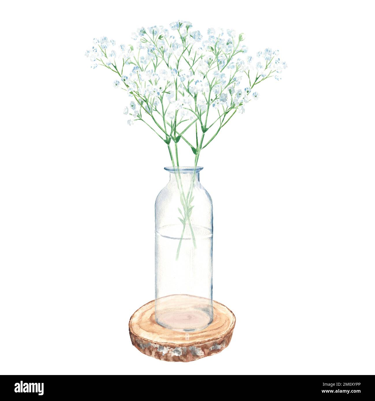 Gypsophila branches in vase, jar on round wooden saw cut. Watercolor ...