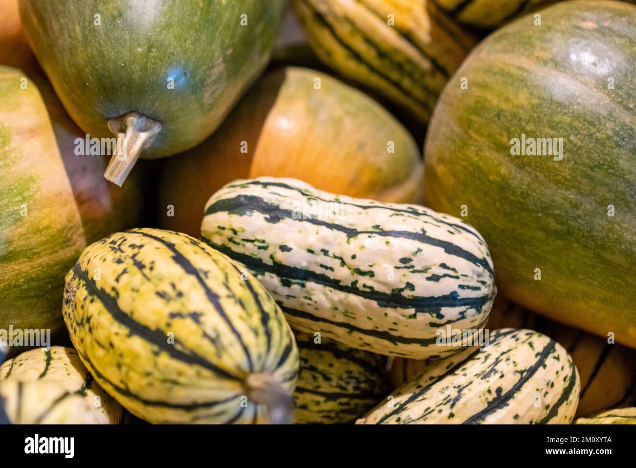 A closeup of heap of colorful pumpkins - autumn harvest Stock Photo - Alamy