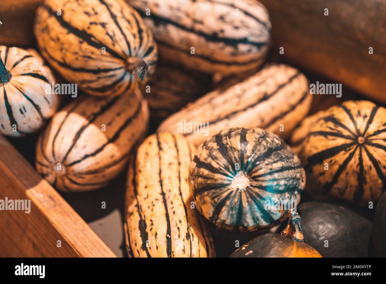 A closeup of heap of colorful pumpkins - autumn harvest Stock Photo - Alamy