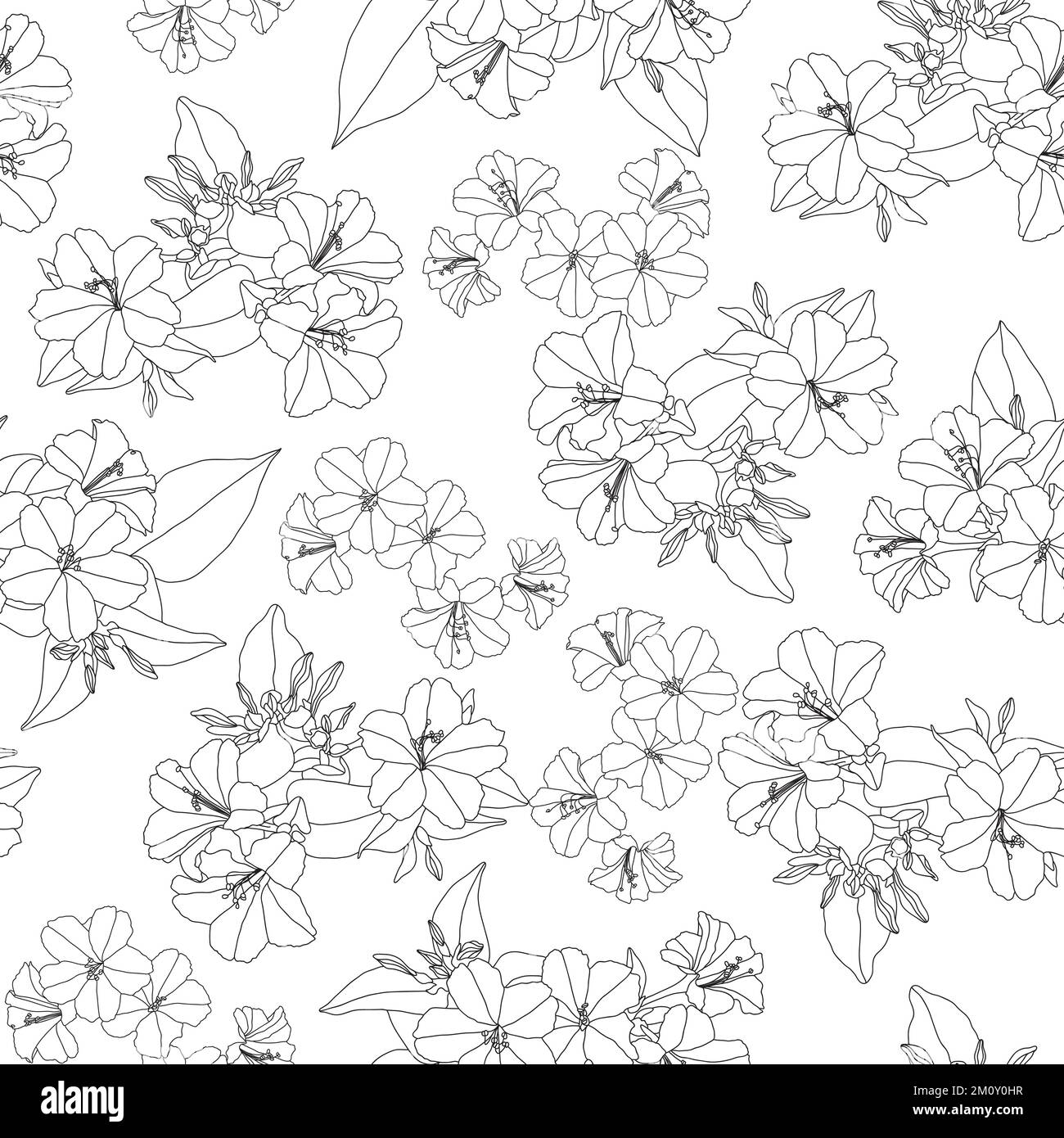 Flowers line art isolated illustration seamless pattern Stock Vector ...