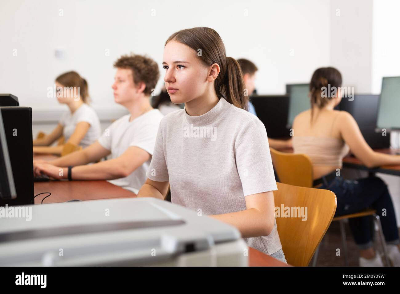 Teenage girl using computer during lesson Stock Photo - Alamy