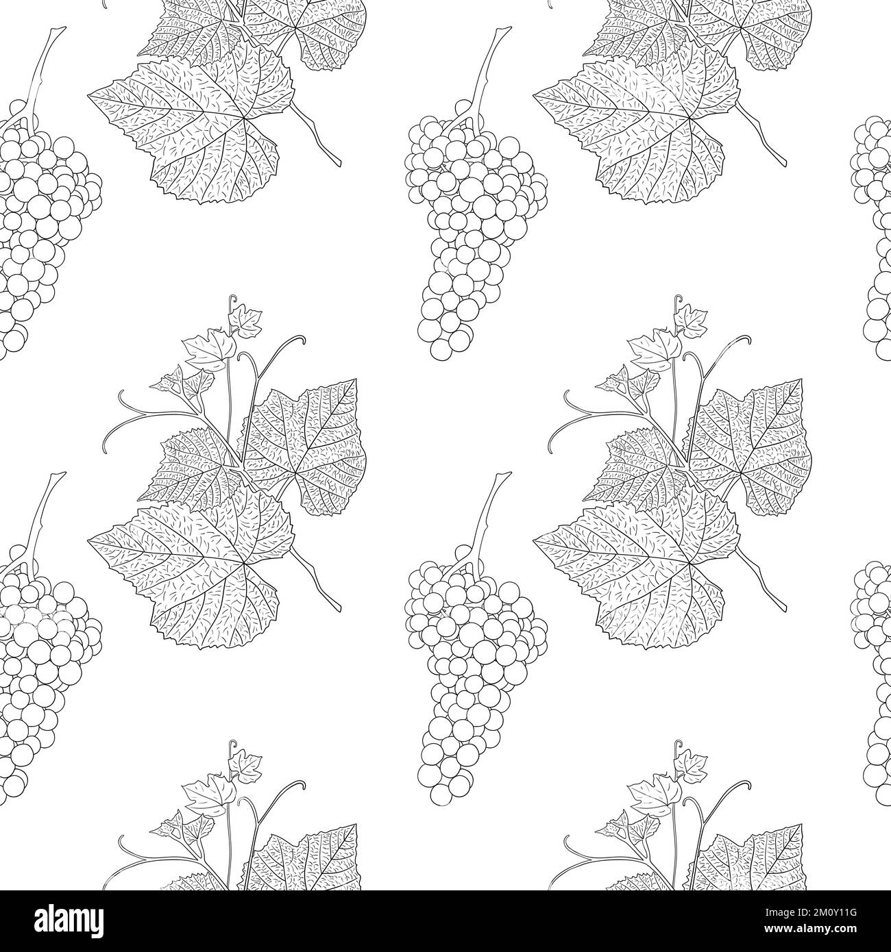 Grape line art vector isolated seamless pattern Stock Vector Image ...