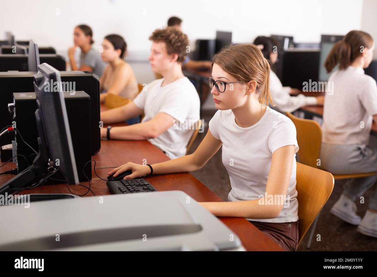 Teenager girl using PC during computer science lesson Stock Photo - Alamy
