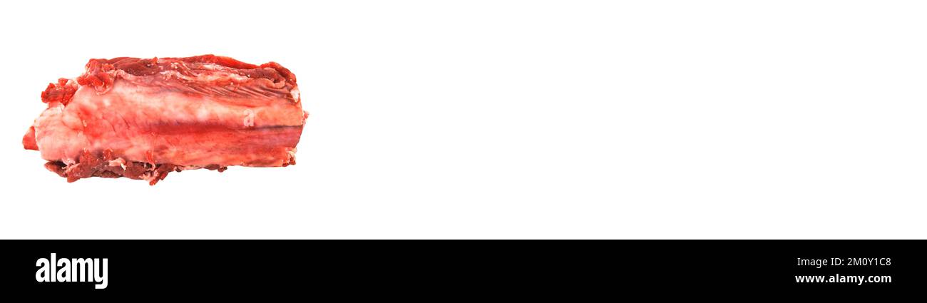 Clean very fresh red raw cow meat beef, banner mock up poster desing ...