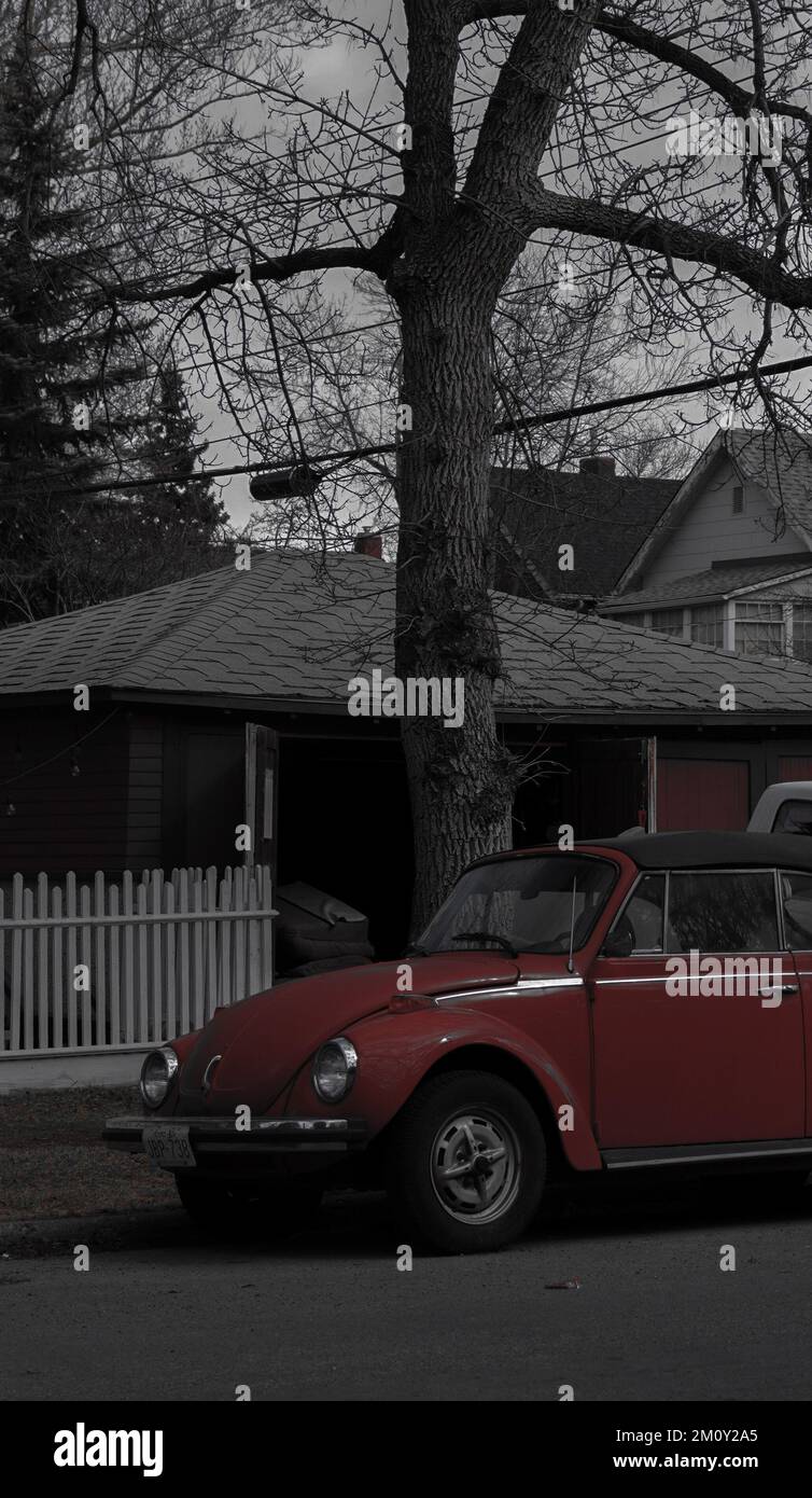 A beautiful vintage car owned by an old couple in Sunnyside community ...