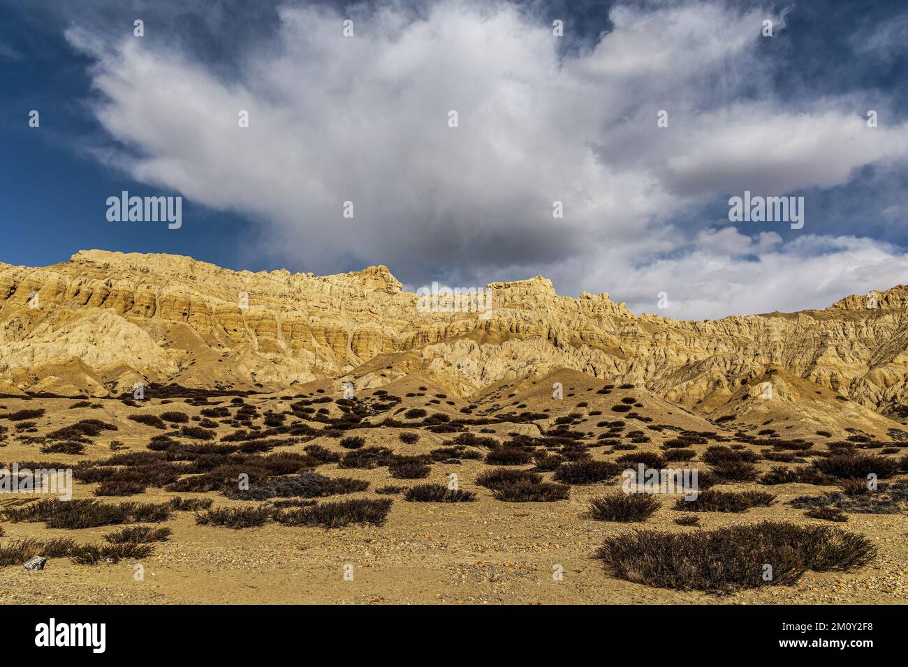 The forest landforms and stone formations in Zada County, Ali ...