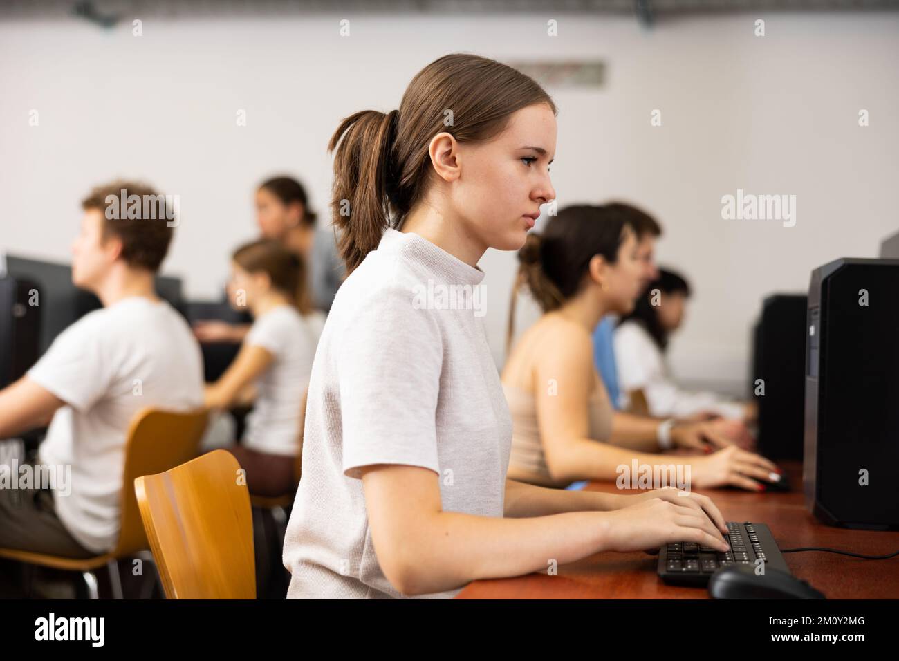 Teenage girl learning to use personal computer during lesson Stock ...