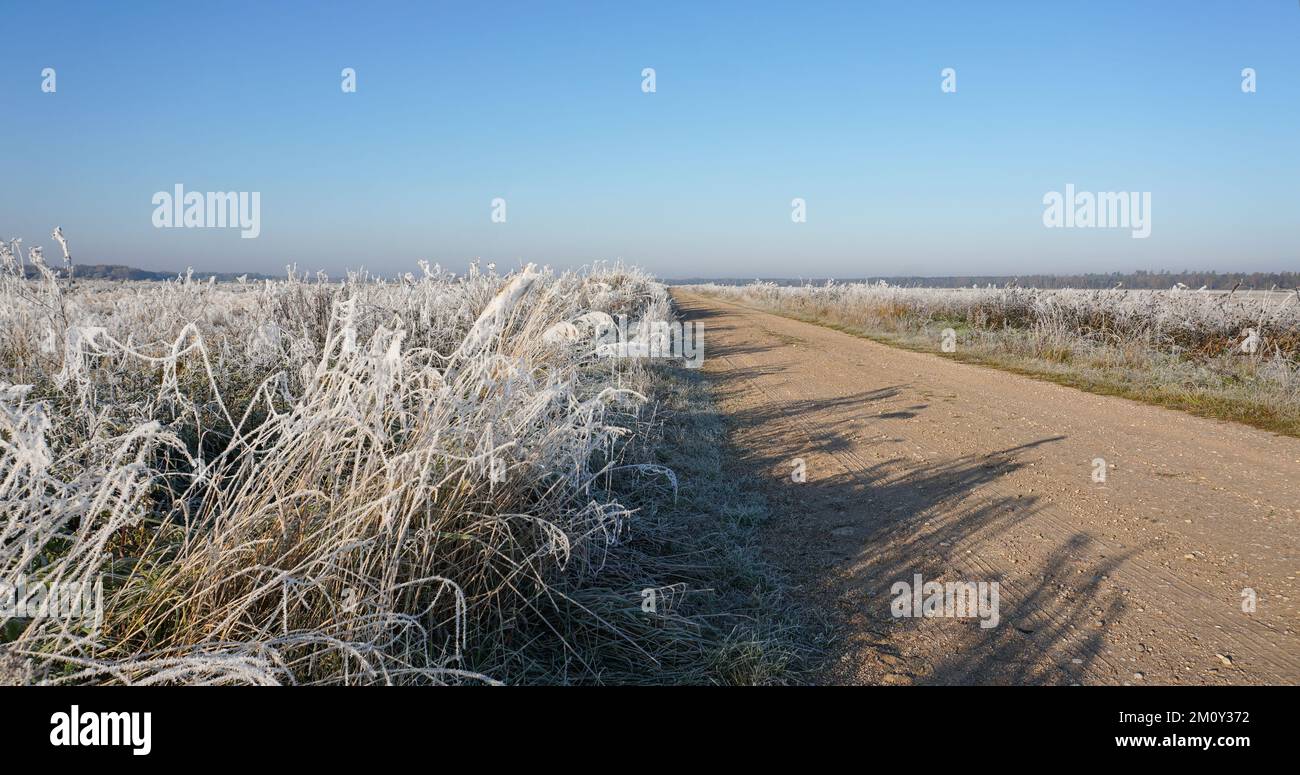 Cold autumn morning in the fields, frosting Stock Photo - Alamy