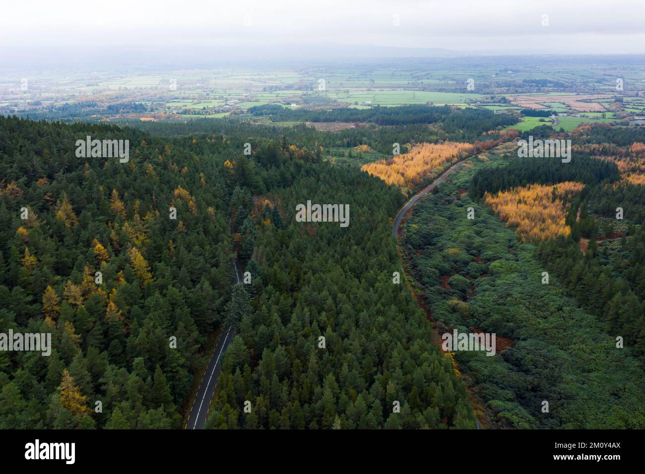 Aerial top view of two forest roads in the Clogheen mountains with the ...