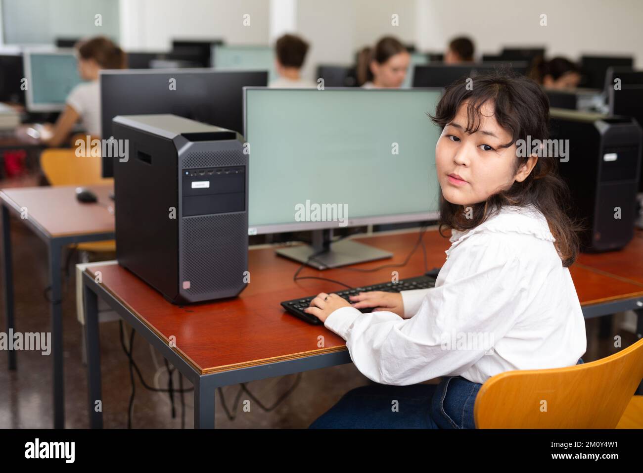 Teenage girl using computer during lesson Stock Photo - Alamy