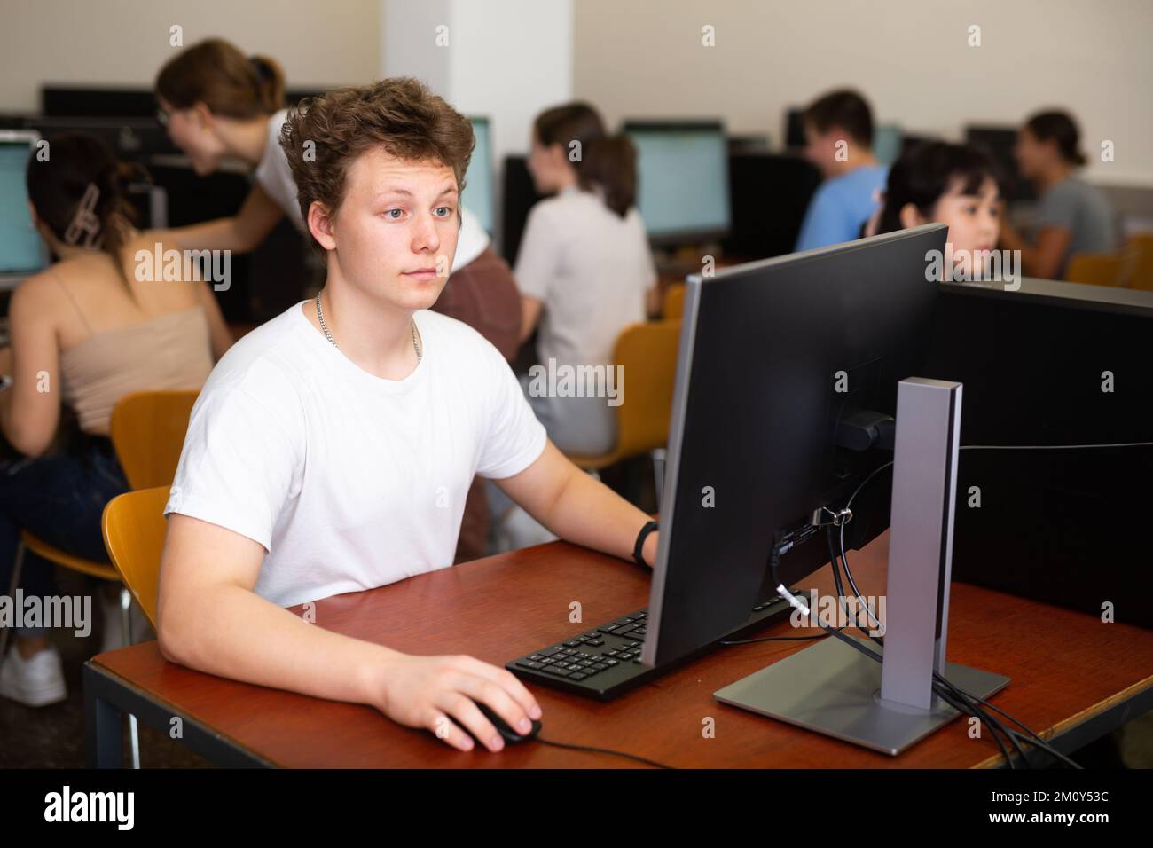 Teenage boy learning to use personal computer during lesson Stock Photo ...
