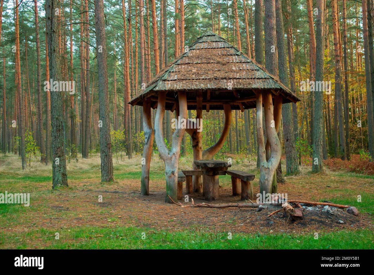 Wooden forest gazebo. Roof, table and benches. Rest area Stock Photo ...