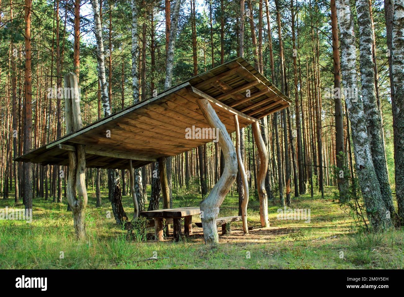 Forest gazebo, a structure made of wood, against rain, snow and sun ...