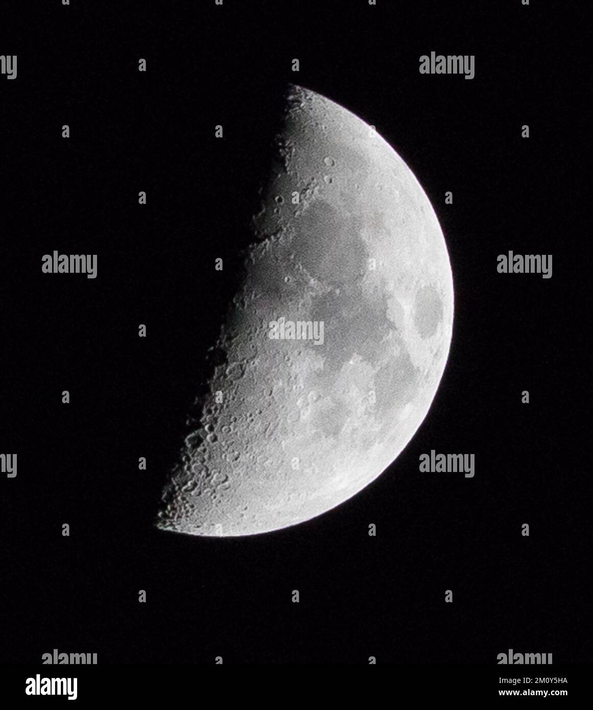 A vertical macro shot of a half-moon with the detailed surface in a ...