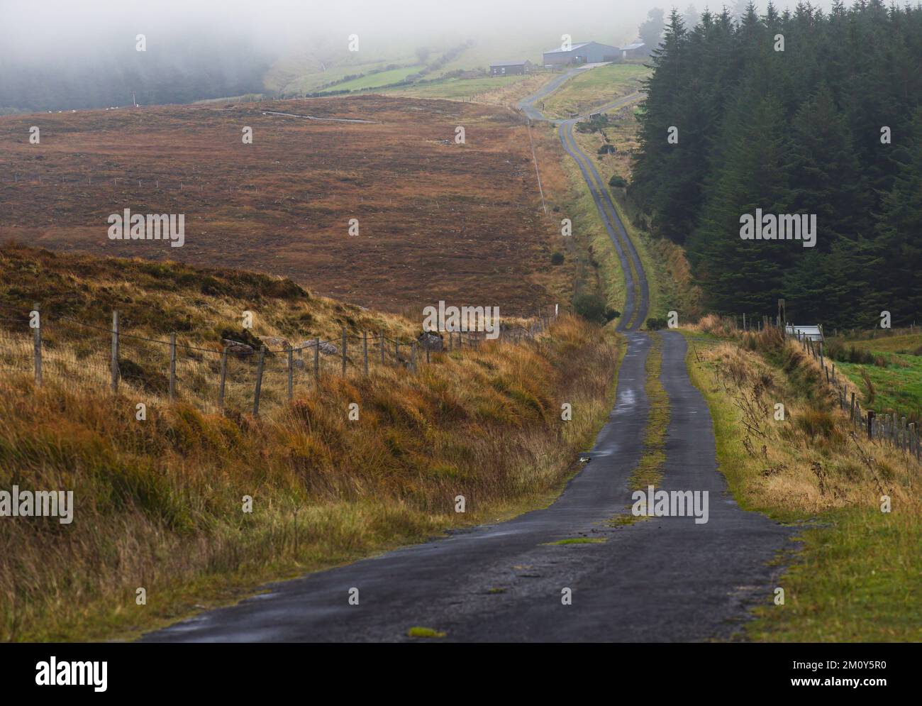 Road disappearing into the mist on the Wild Atlantic Way in Ireland ...