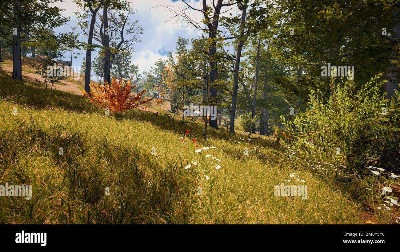 3D rendering. An immersive natural environment. Landscape to illustrate ...