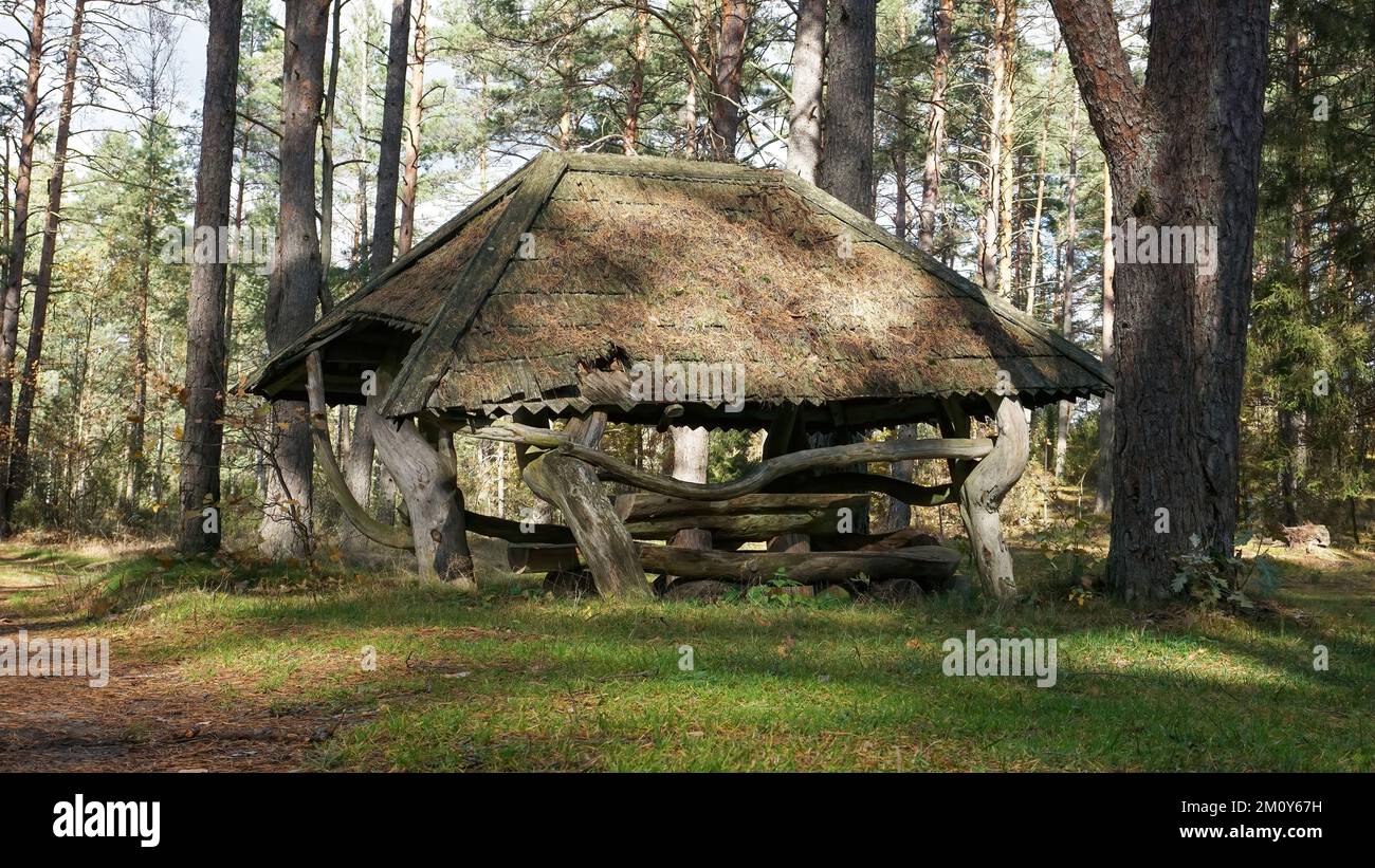 Old and public outdoor resort, in the middle of the forest, table ...