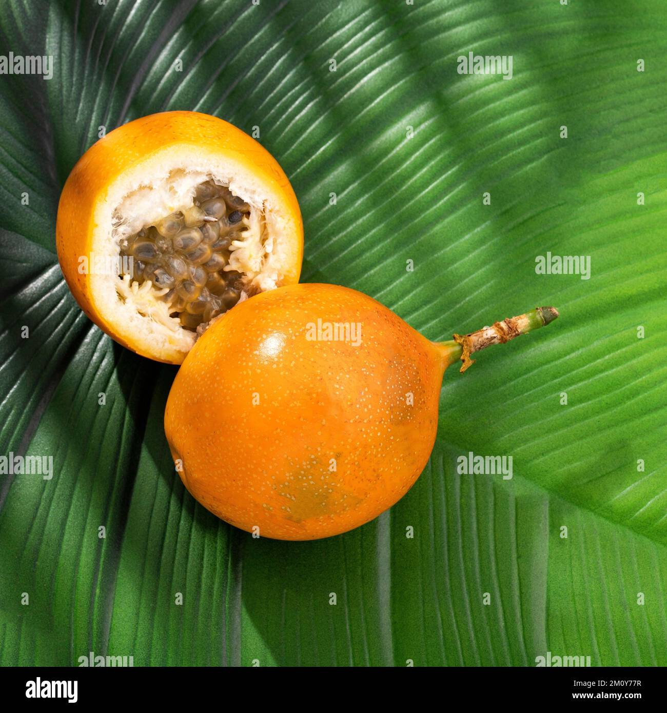 Passiflora ligularis - Colombian tropical fruit granadilla Stock Photo ...