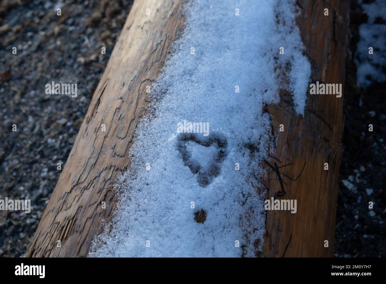 Heart on snow fir hi-res stock photography and images - Alamy