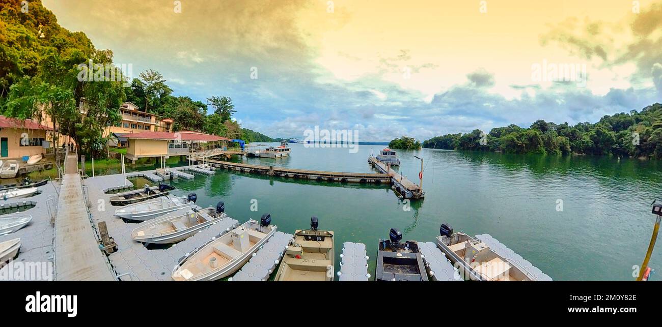 Smithsonian Tropical Research Institure (STRI). Located in the man-made ...