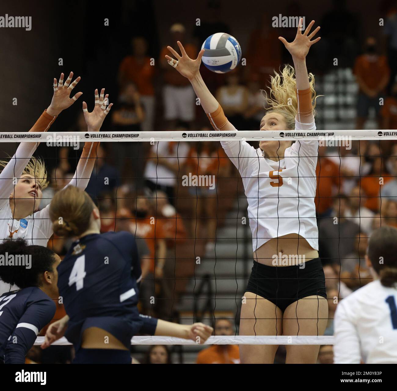 Bella bergmark hi-res stock photography and images - Alamy