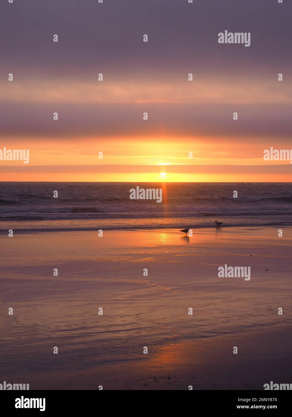 Ofir beach portugal portugal hi-res stock photography and images - Alamy