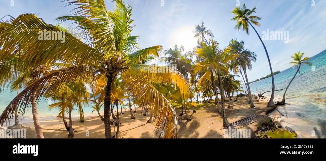 Amandrup Island is one of the 375 idilic coconut islands within the ...