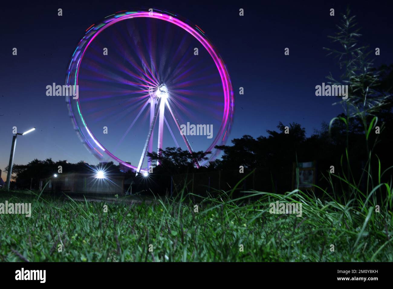 Cándido portinari hi-res stock photography and images - Alamy