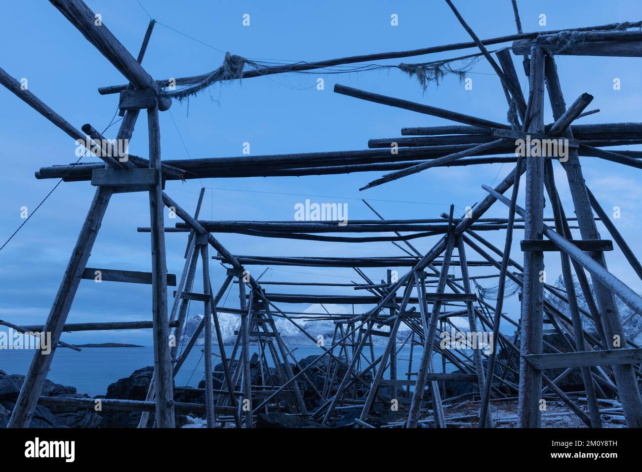 Wooden cod drying racks, Lofoten Islands, Norway Stock Photo - Alamy