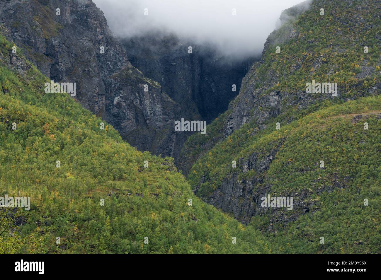 Autumn landscape from upper Kåfjorddalen valley, Norway Stock Photo - Alamy