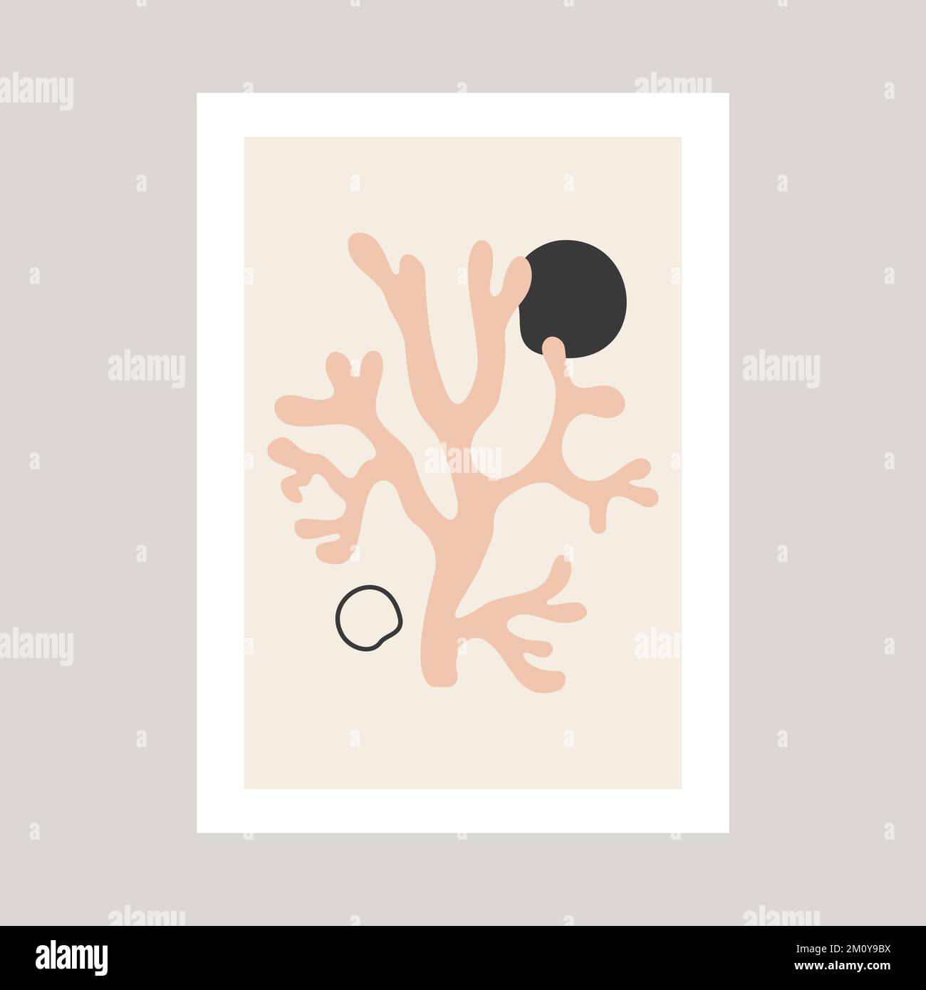 Different coral shapes hi-res stock photography and images - Alamy