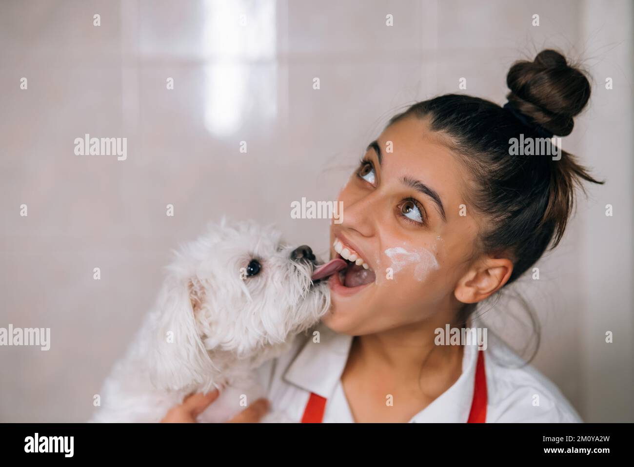 Smiling woman in kitchen holding cute white Maltese dog Stock Photo - Alamy