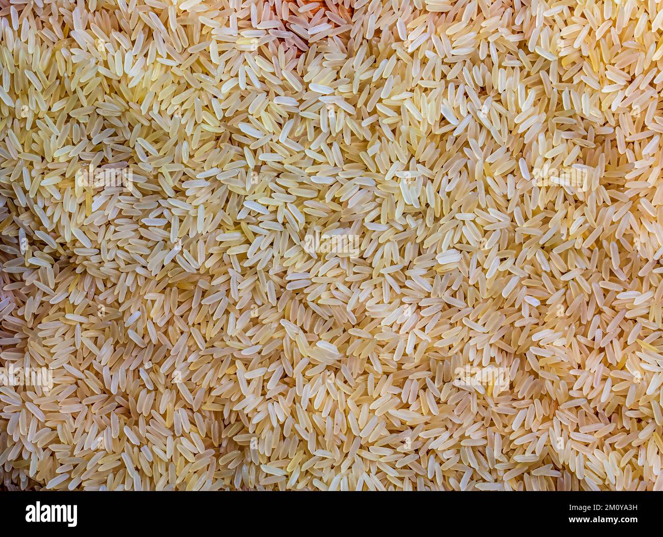 Background of long grain parboiled uncooked rice. Rice groats as ...