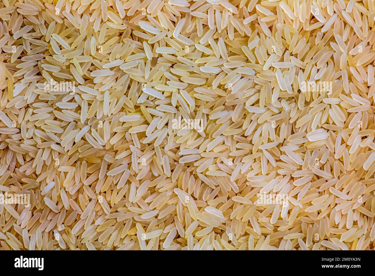 Background of long grain parboiled uncooked rice. Rice groats as ...