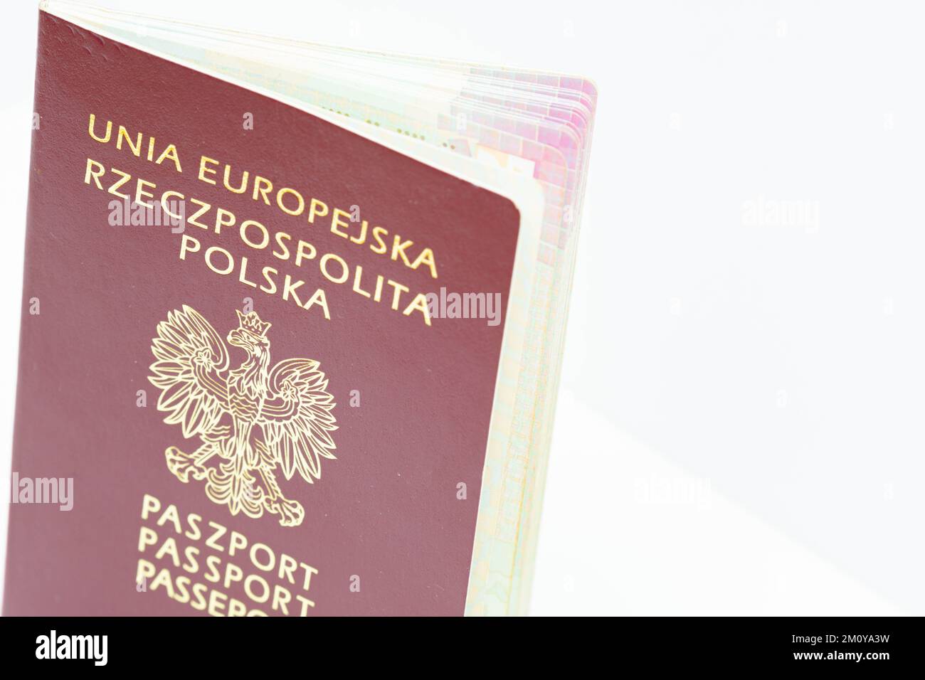 Polish passport isolated on white background Stock Photo - Alamy