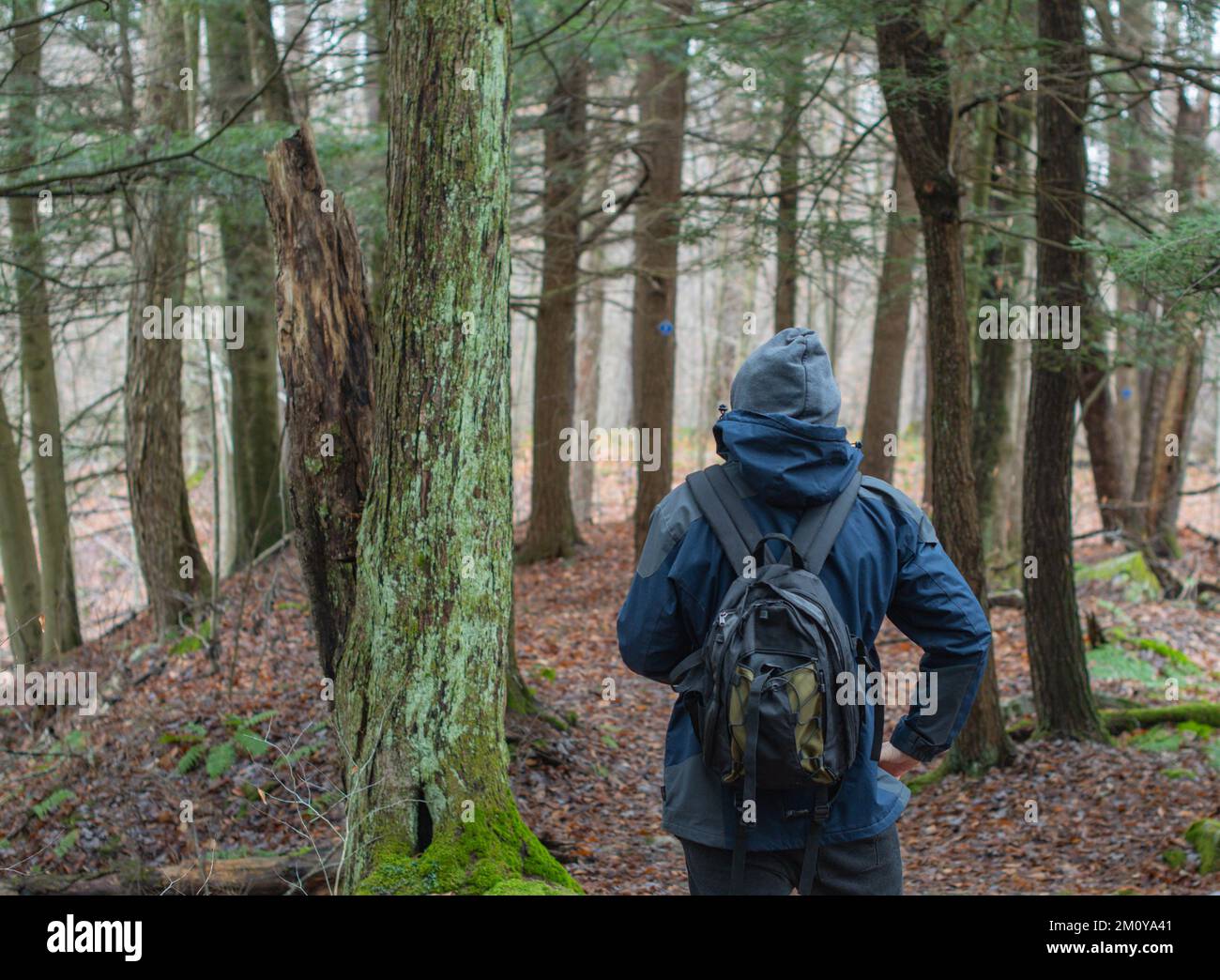 Cold weather hiking, backpacking winter activity Stock Photo - Alamy