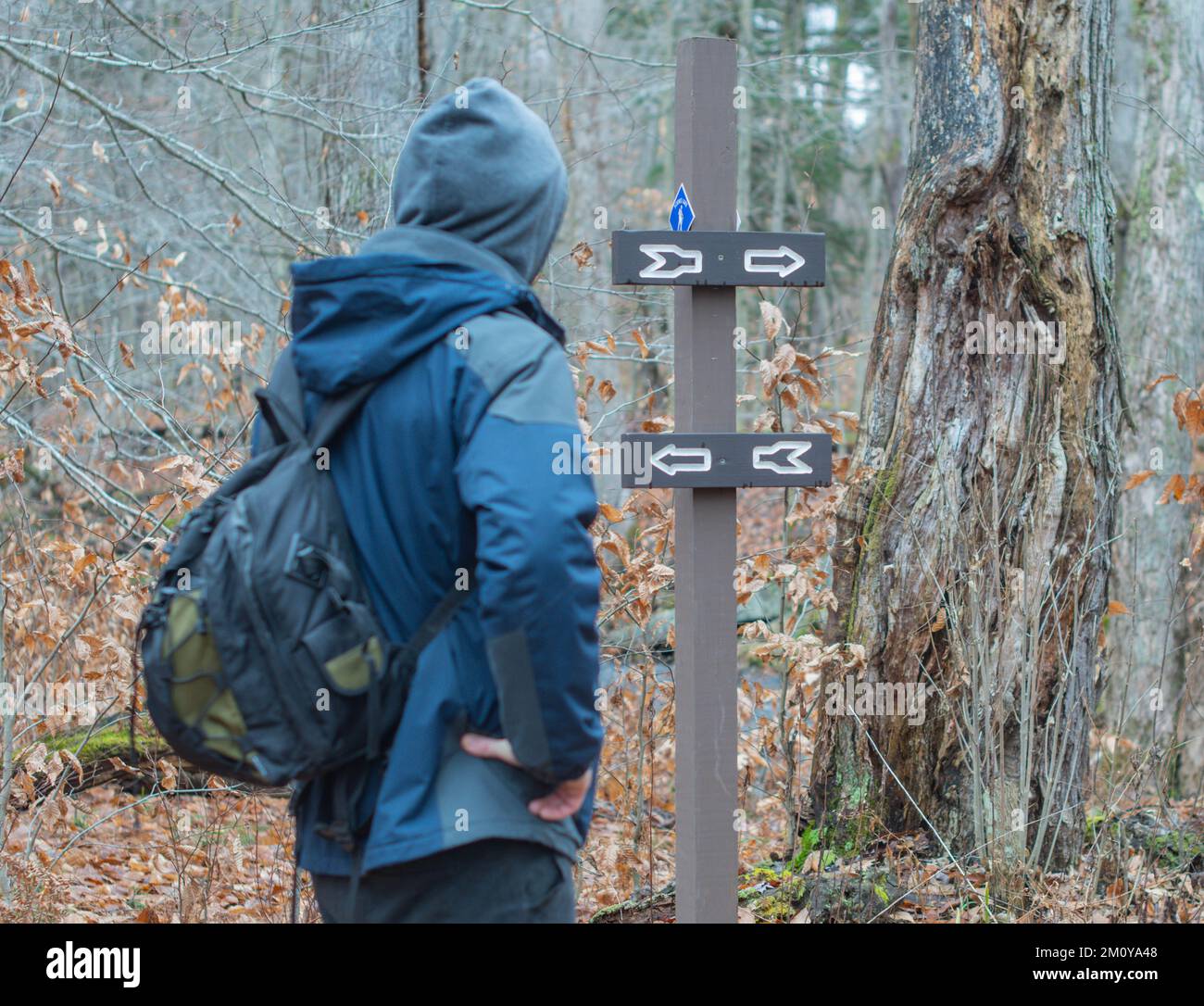 Cross roads on hiking trail, sign decision which way Stock Photo - Alamy
