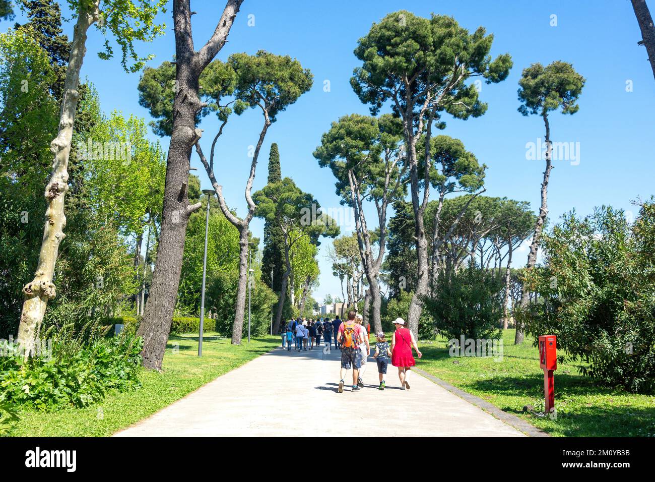 Visitor trees entrance path road track pedestrian pompeii roman hi-res ...
