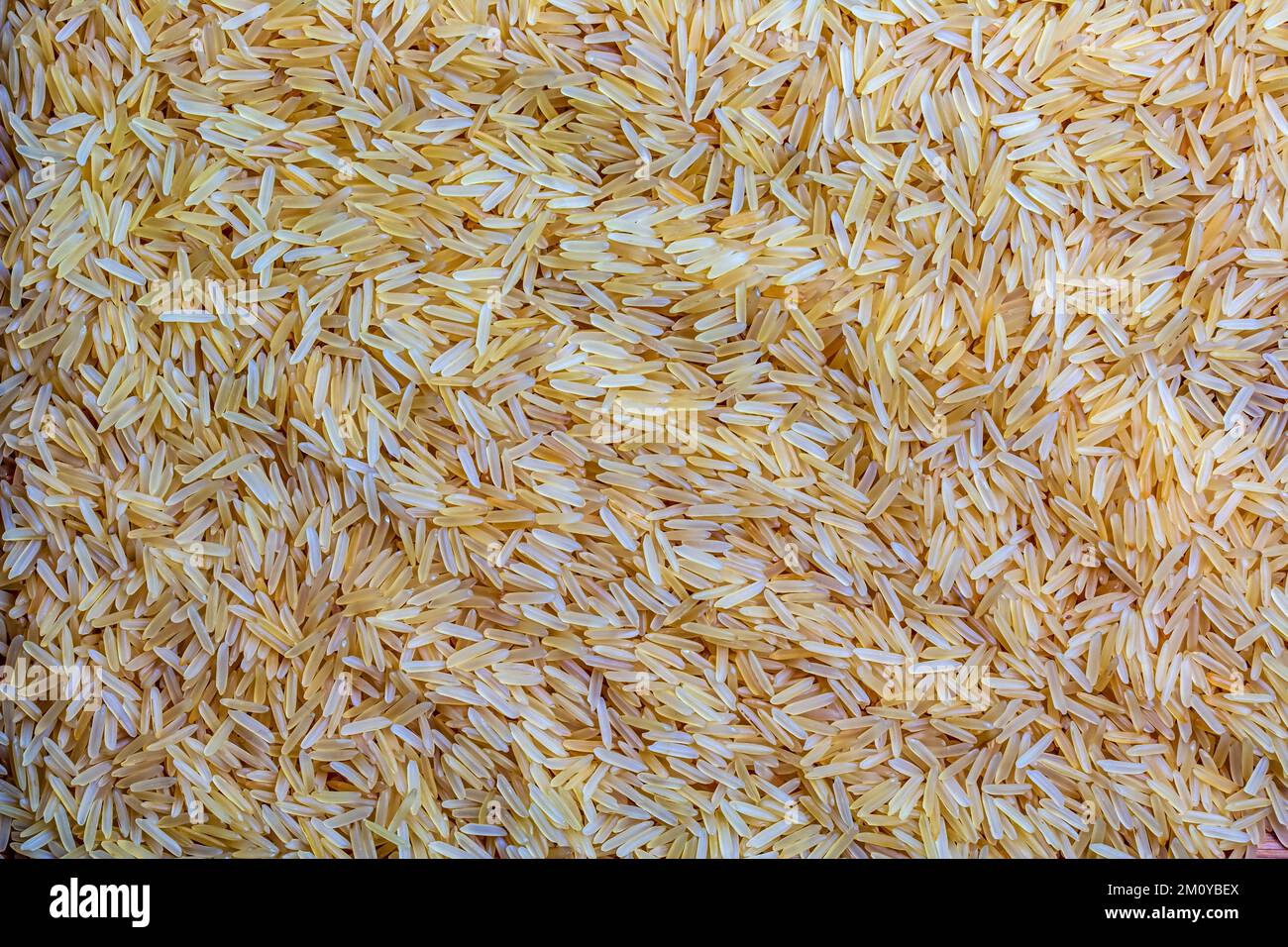 Background of long grain parboiled uncooked rice. Rice groats as ...